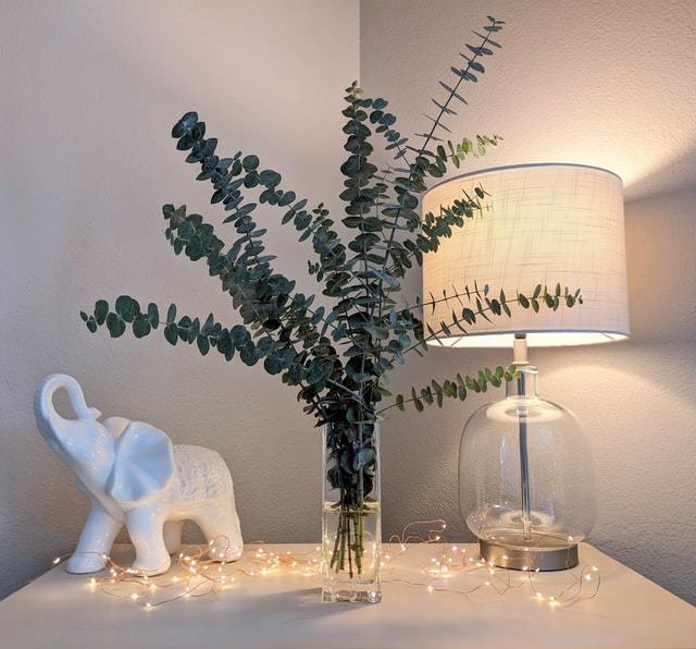 Cómo colocar el elefante de la suerte según el Feng Shui - Esoterismos.com